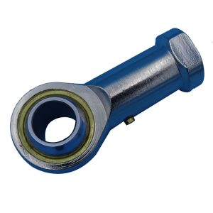 Fish eye bearings, ball and roller bearing