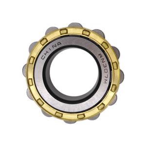 RN307M bearing 35x68.2x21mm Eccentric Cylindrical Roller Bearing