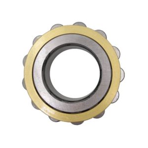 RN 309 M bearing 45x88.5x25 mm Eccentric Cylindrical Roller Bearing